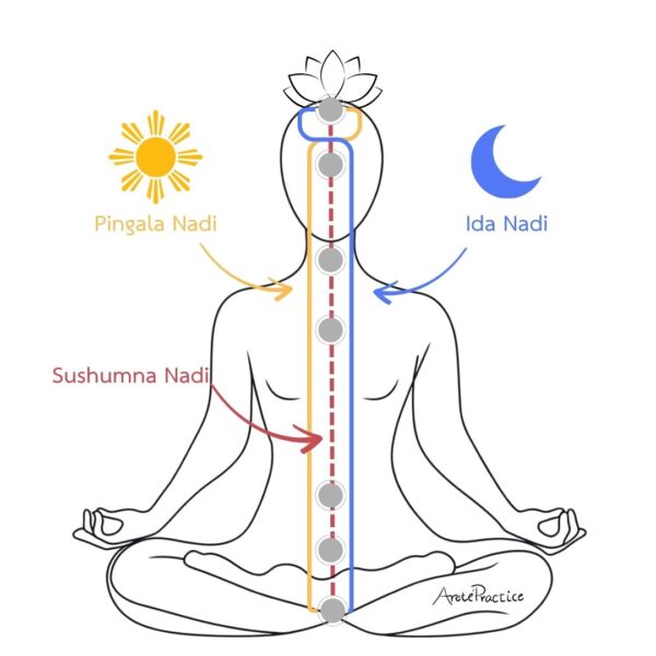 Entendiendo los Nadis - Areté
